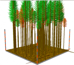 Forest Management Planning – Integrated Resource Management
